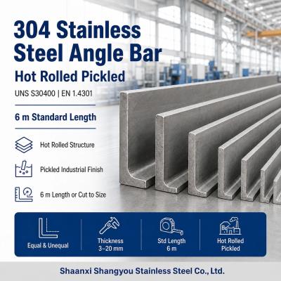 China 304 Stainless Steel Angle Bar Hot Rolled Pickled in 6m Lengths for sale