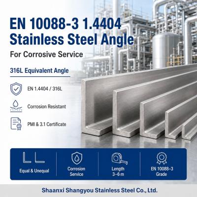 China EN 10088-3 1.4404 Stainless Steel Angle for Corrosive Service for sale
