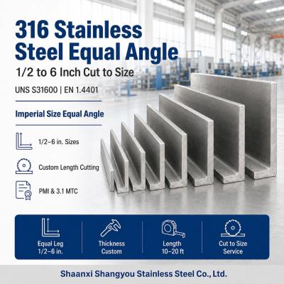 China 316 Stainless Steel Equal Angle 1/2 to 6 Inch Cut to Size for sale