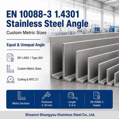 China EN 10088-3 1.4301 Stainless Steel Angle in Custom Metric Sizes for sale