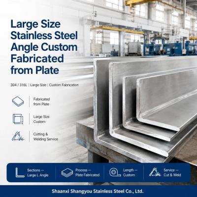 China Large Size Stainless Steel Angle Custom Fabricated from Plate for sale