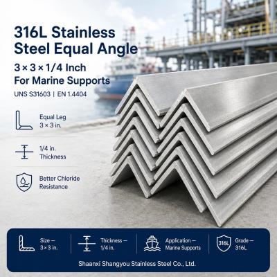 China 316L Stainless Steel Equal Angle 3x3x1/4 Inch for Marine Supports for sale