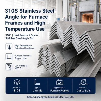 China 310S Stainless Steel Angle for Furnace Frames and High Temperature Use for sale