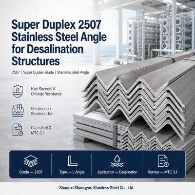 China Super Duplex 2507 Stainless Steel Angle for Desalination Structures for sale