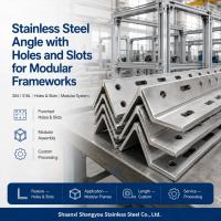 China Stainless Steel Angle with Holes and Slots for Modular Frameworks for sale