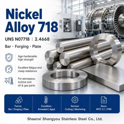 China Nickel Alloy 718 | UNS N07718 High-Strength Superalloy for sale