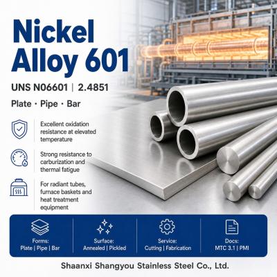 China Nickel Alloy 601 | UNS N06601 | 2.4851 | Inconel 601 for sale