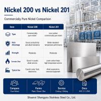 China Nickel 200 vs Nickel 201: A Comprehensive Comparison for sale