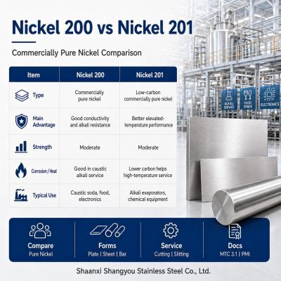 China Nickel 200 vs Nickel 201: A Comprehensive Comparison for sale