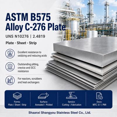China ASTM B575 Alloy C-276 Plate | UNS N10276 | Hastelloy C-276 for sale