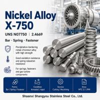 China Nickel Alloy X-750 | UNS N07750 | 2.4669 | Inconel X-750 for sale