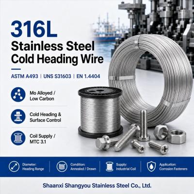 China ASTM A493 316L Stainless Steel Cold Heading Wire for Bolts and Screws for sale