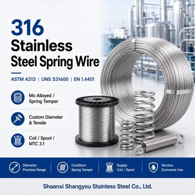 China ASTM A313 316 Stainless Steel Spring Wire for Corrosive Service
SEO TDK for sale