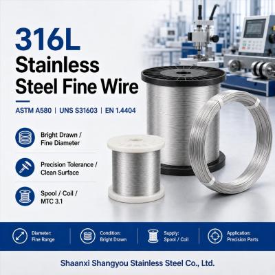 China Bright Drawn 316L Stainless Steel Fine Wire in Spools and Coils
SEO TDK for sale
