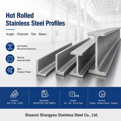 China Hot Rolled Stainless Steel Profiles in Angle Channel and T Sections for sale