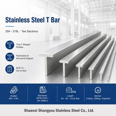 China Stainless Steel T Bar in 304 316L and Duplex Custom Structural Sizes for sale