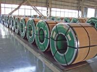 China 201 Hot Rolled Pickled 0cr18ni19 Stainless Steel 304 Coil Decorative for sale