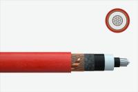 China Enhanced Safety and Performance: A Comprehensive Guide to Feichun SIENOPYR(110) (N)HX4GAF UL 0.6/1kV Halogen-Free Single Core Cables for sale