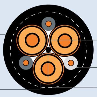 China Type 450.3 Copper Screened Reeling & Trailing Mining Power Cable 3.3kV for sale