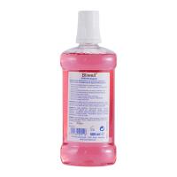 China 500ML Antibacterial Antifungal Mouthwash , Oral Antiseptic Mouthwash Protect Gingival for sale
