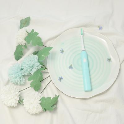 China Electric Toothbrushes for Adults Qhou Sonic Toothbrush with 6 Modes Smart Timer Rechargeable Power Whitening Toothbrush for sale