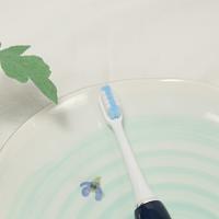 China Wholesale/Retail IPX7 Waterproof Powerful Cleaning Smart Toothbrush Travel Rechargeable Sonic Electric Toothbrush for sale