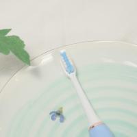 China Retail IPX7 Waterproof Teeth Whitening OEM Gum care Cleaning Smart Sonic Electric Toothbrush For Travel for sale