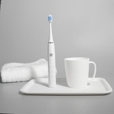 China Custom Private Label Teeth Whitening&Cleaning IPX7 Waterproof Smart Sonic Electric Toothbrush In Stocks for sale