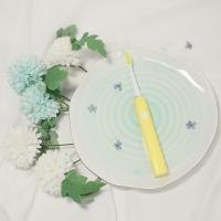 China Premium Sonic Ultra Cleaning Retail Stocks Waterproof USB Rechargeable Electric Toothbrush For Sale for sale