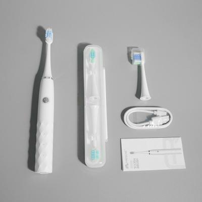 China Powerful Safe IPX7 Waterproof Gentle White High Frequency Sonic Cleaning Electric Toothbrush for sale