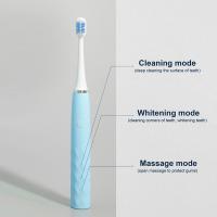 China High Frequency Sonic Cleaning Custom Private Label Smart Electric  Rechargeable Waterproof Toothbrush Stocks For Sale for sale