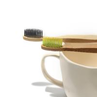China 2021 Green Friendly Plastic Fress Natural Recyclable Charcoal Infused Bamboo Toothbrush for sale