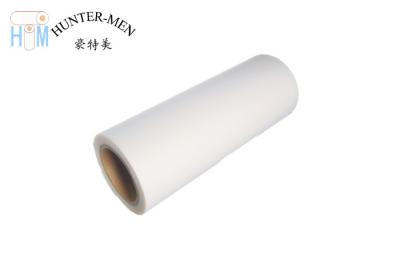 China PES Hot Melt Adhesive Film for Bonding Non-Woven Fabrics for sale