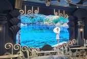 China Full Color D-P3.076 RGB SMD1415 LED Display Module 160x160mm for Stage Airport for sale