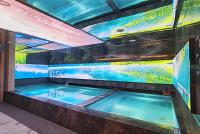 China P1.53 Indoor LED Video Wall Module 208x104 Resolution 100000h Lifespan for sale