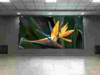 China CAILIANG N1.8 Series LED Display Strips 100000 Hours Lifetime AC110V/220V for Hotels for sale