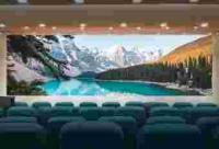 China CAILIANG N2.0 Series High Definition LED Display Strips AC110V 220V 1GB 32GB for Home Outdoor for sale