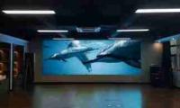 China CAILIANG D Series N1.25 Indoor LED Display Module 3840Hz Refresh Rate Aluminum for sale