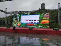 China Aluminum CAILIANG D4 Full Color LED Display Strip AC110V 220V for Malls for sale
