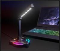 China USB Desktop Meeting Full Karaoke Esports Microphone 2 Table Lamp Adjustment for sale