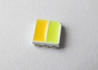 China 2220 Package Top View Warm White Brightest Smd Led Chip 5050 for sale