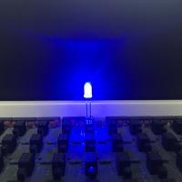 China Standard Type Bluish Green Light Emitting Diode LED , High Power Light Emitting inditator Diode for sale