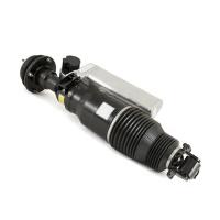 China Professional MAYBACH 57 AND 62 FRONT-L HYDRAULIC SHOCK ABSORBER OEN No. 2403201913 Limit Load 8 for Your Distribution for sale