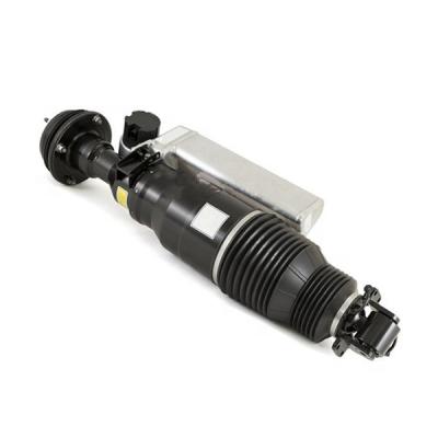 China Professional MAYBACH 57 AND 62 FRONT-L HYDRAULIC SHOCK ABSORBER OEN No. 2403201913 Limit Load 8 for Your Distribution for sale