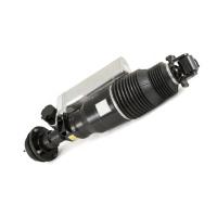China Professional MAYBACH 57 AND 62 FRONT-L HYDRAULIC SHOCK ABSORBER OEN No. 2403201913 Limit Load 8 for Your Distribution for sale