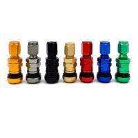 China Universal Year TPMS TR525 Tubeless Tire Valve Stem with Dust Cap Aluminum Improved Tire Pressure Monitoring for sale