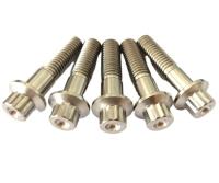 China Universal Year Upgrade Your Wheels with Standard OE NO. Titanium Gr5 12 PT RS/ RX Split Rim Kits M7 x 32 Bolt and Nut for sale