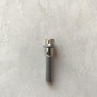 China Sprint Car 12 PT BBS RS/RX Split Rim Bolts M7 x 32 Steel Bolts within Chrome-plated for ISO Standard for sale