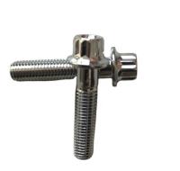 China 12 PT BBS RS/RX Split Rim Bolts M7 x 32 Steel Chrome-plated for DIN Standard Performance Long-Lasting Performance for sale