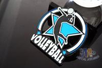 China Custom Die Cast 63.5mm Glow in the Dark Volleyball Medals with Soft Enamel for sale